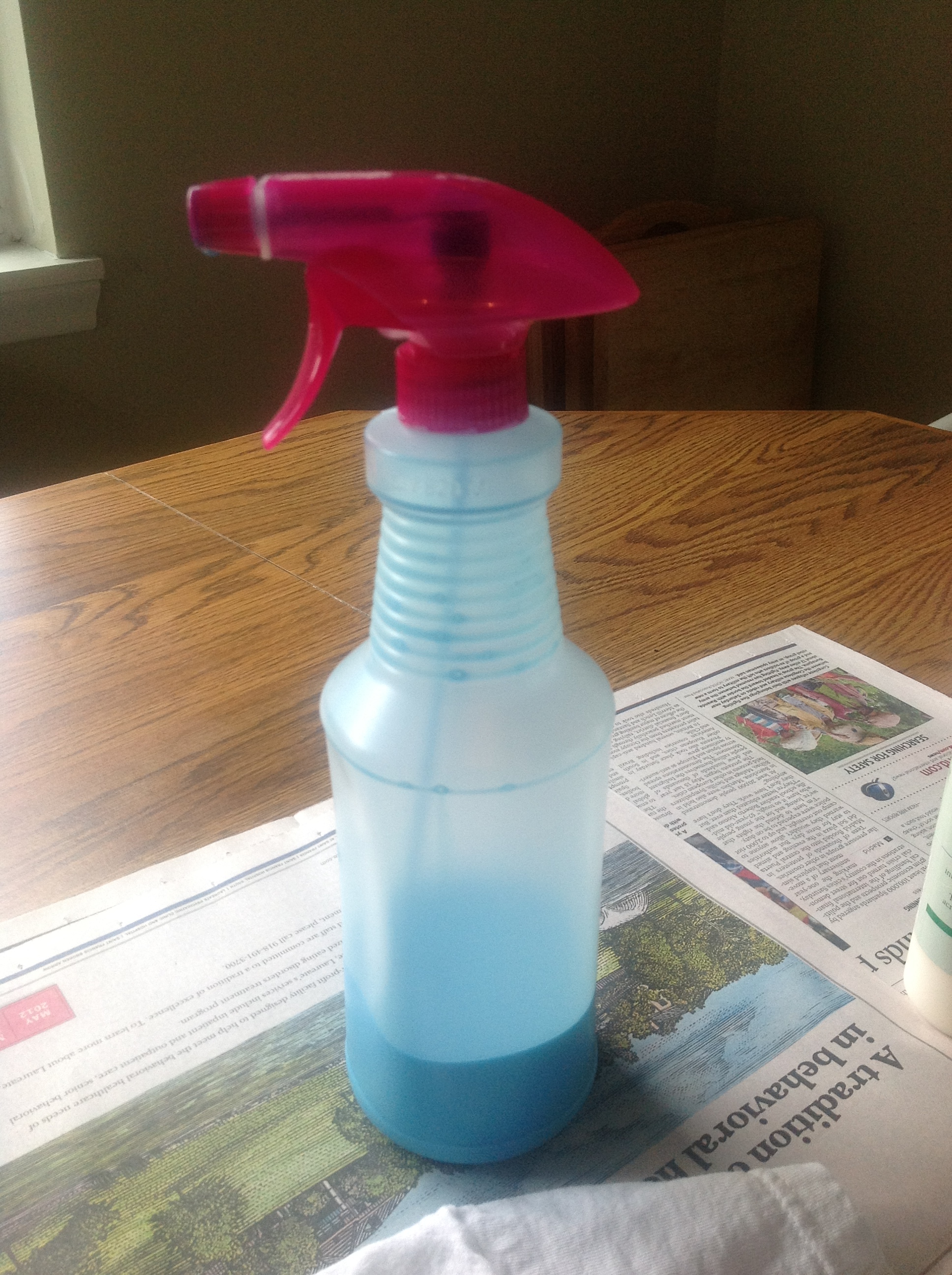 Make Your Own Fabric Spray Paint – My Crazy Blessed Life!