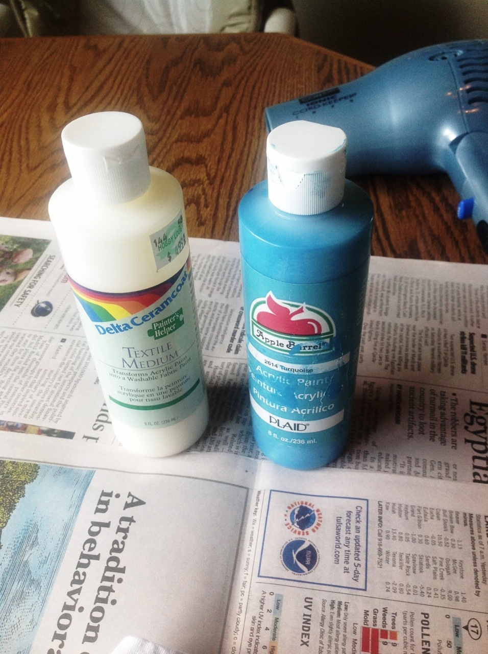 Make Your Own Fabric Spray Paint – My Crazy Blessed Life!