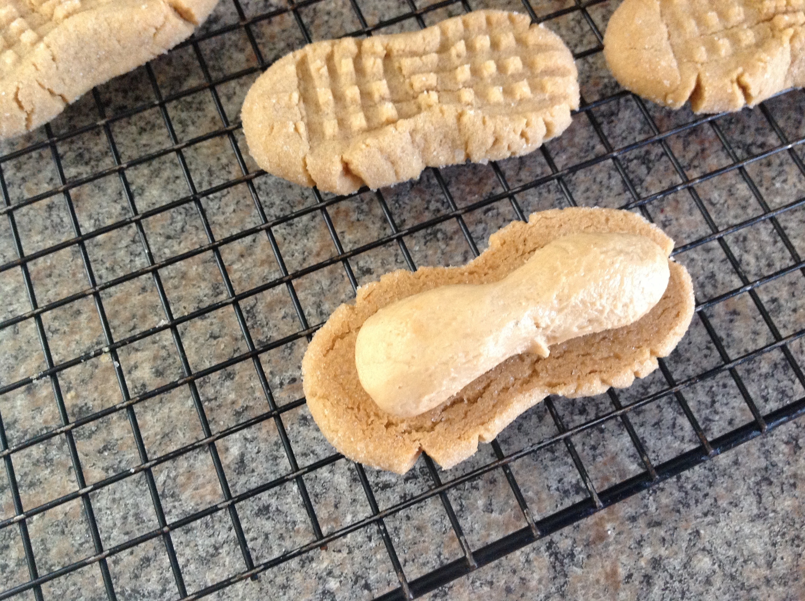 Homemade Nutter Butters – My Crazy Blessed Life!