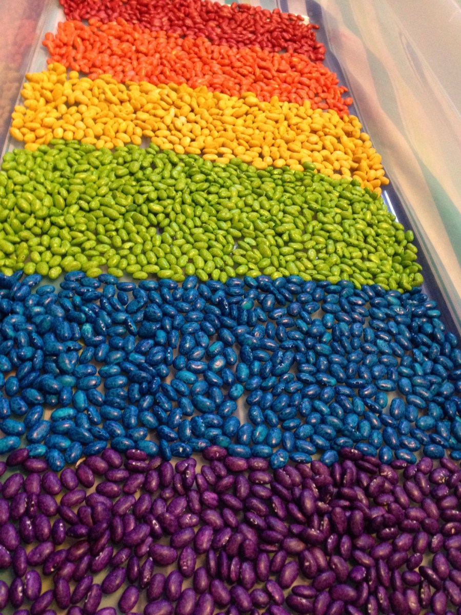 A Rainbow of Beans – My Crazy Blessed Life!