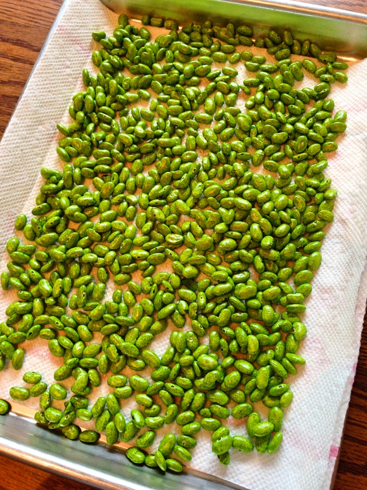 A Rainbow of Beans – My Crazy Blessed Life!